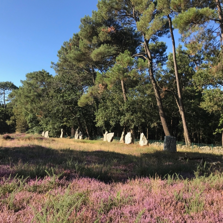 An environment to protect