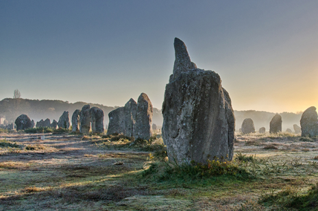 Welcome to the alignments of Carnac